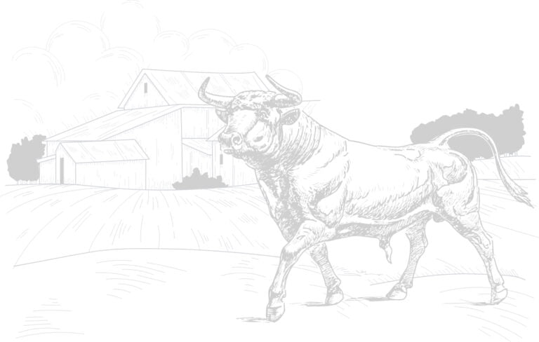 Home - Sacks Butchery
