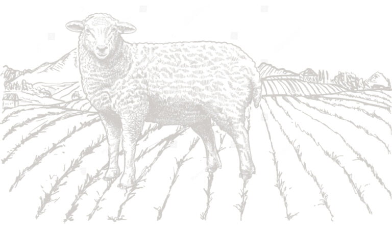 Home - Sacks Butchery